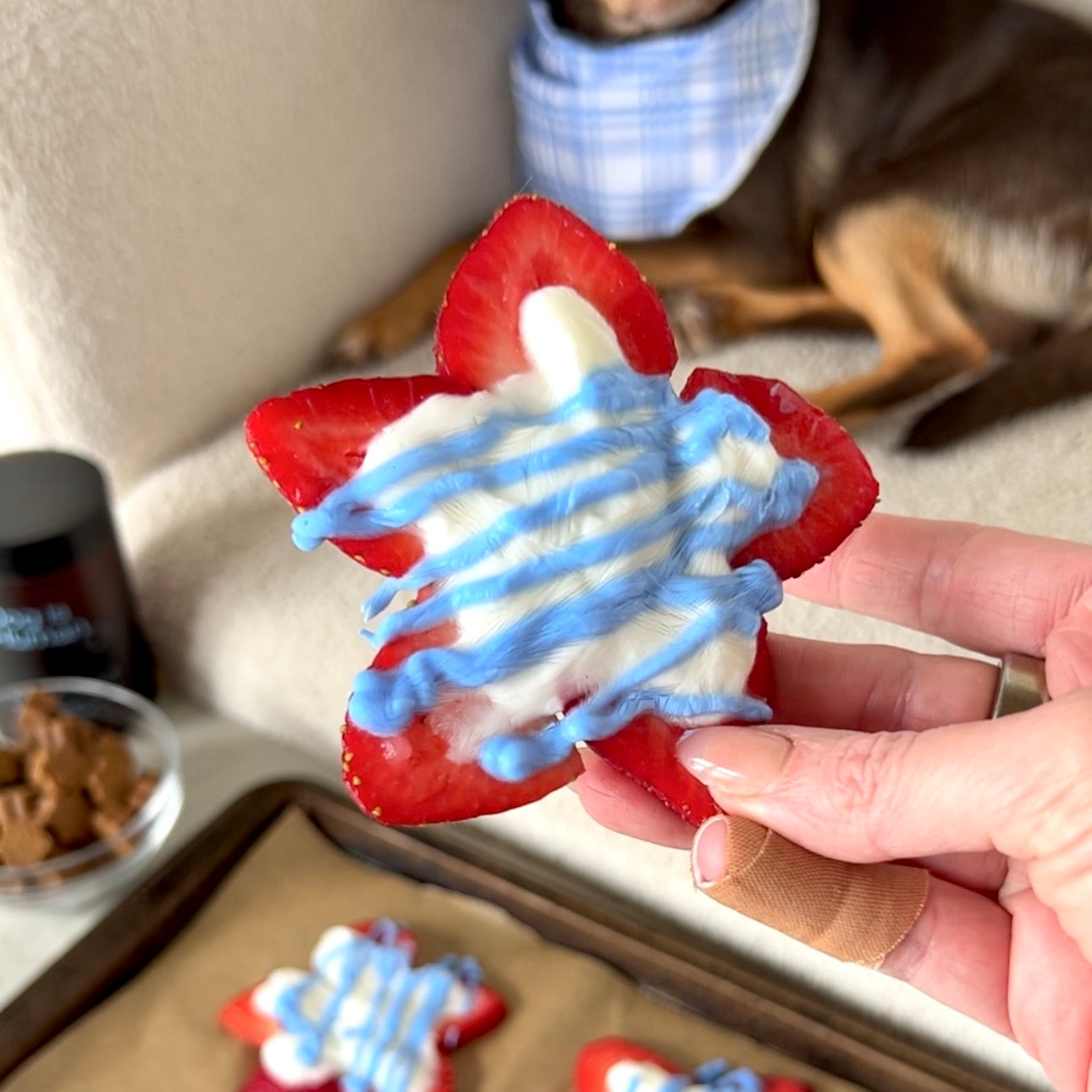 🇺🇸 Strawberry Stars