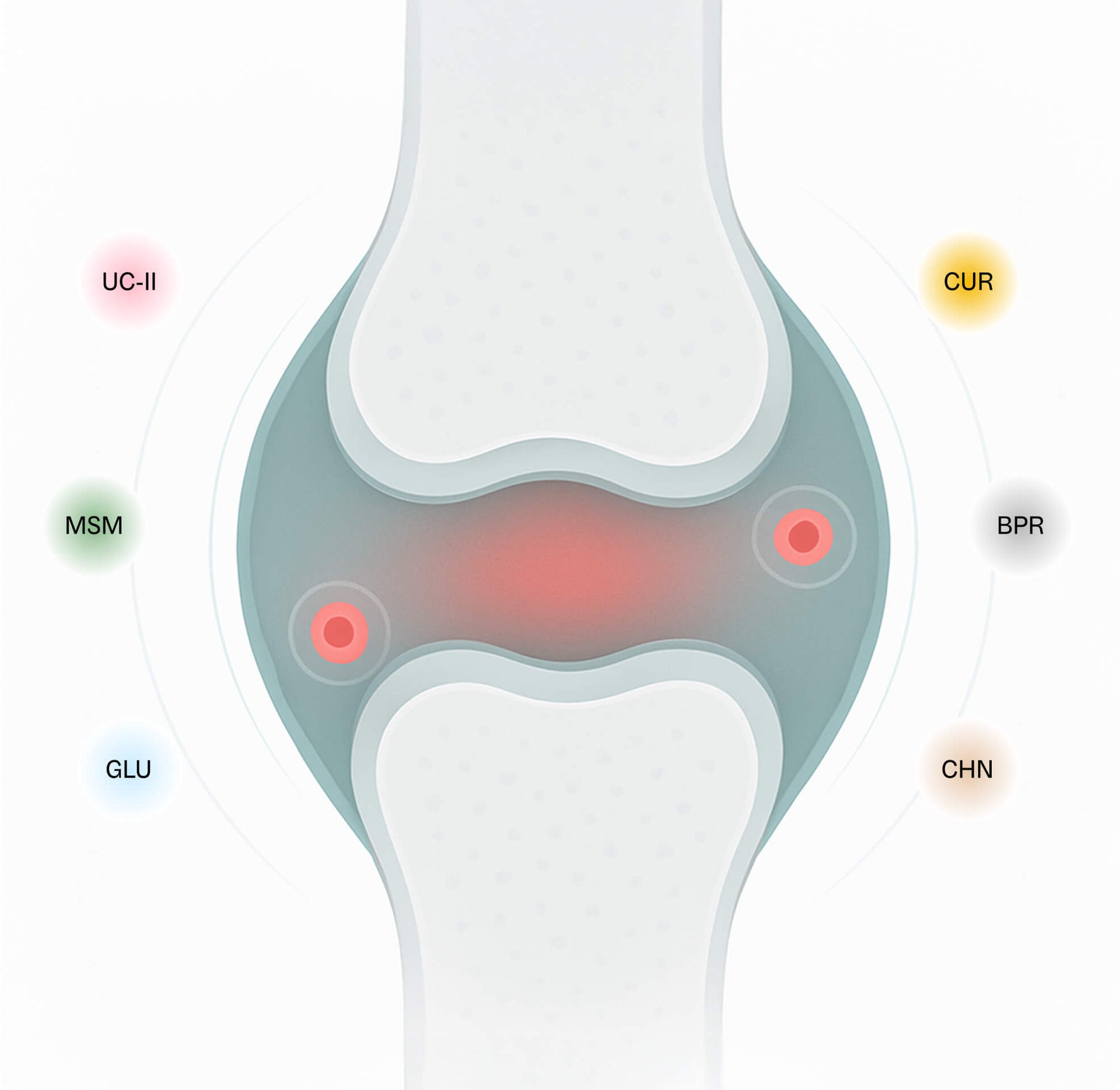 Multiflex™ Advanced Hip and Joint