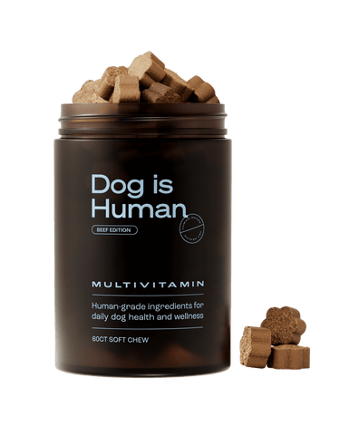 Daily Multivitamin for Dogs' Health