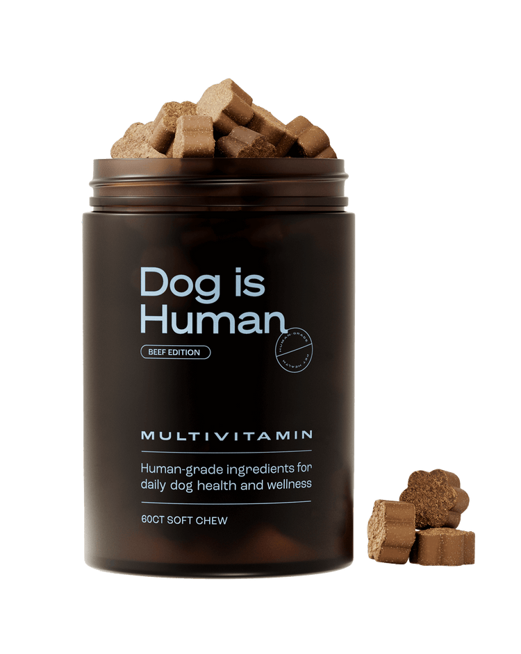 Daily Multivitamin for Dogs' Health